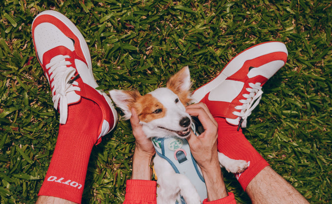 Stylish Flip Flops & Slippers for Men Online | Lotto